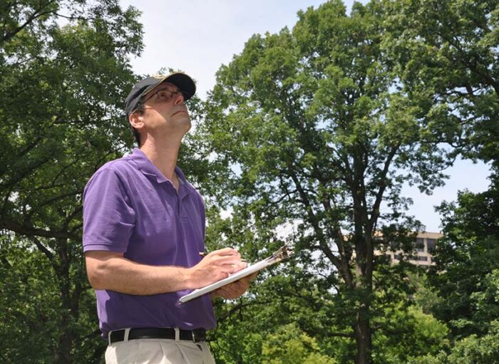 David Nowak – IASHK: Institute of Arboriculture Studies (HK)